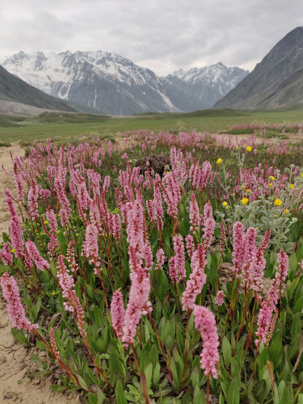 10 Traverses across the Great Himalayan Range – UltraJourneys